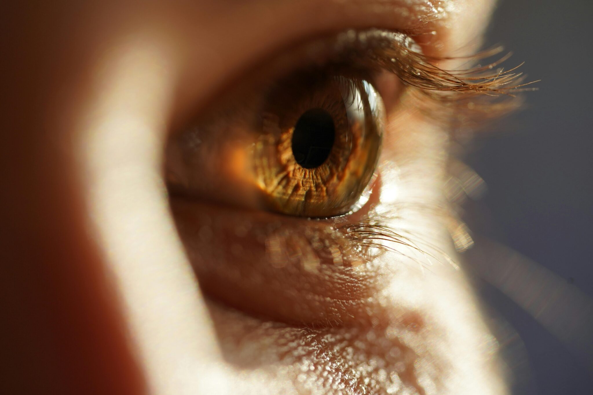 Pearle Vision Chesapeake, VA – Pearle Vision Eyecare Center